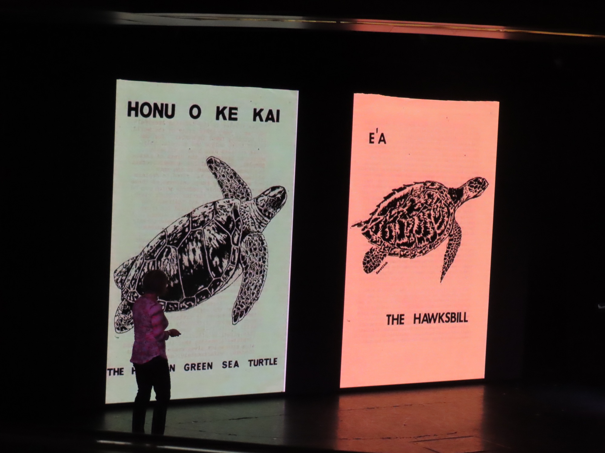 Day 41- Nov 4/24- at sea | gailstraveladventures